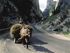 טיול מאורגן לרומניה | מסלול טיול ברומניה | טיולים מאורגנים לרומניה